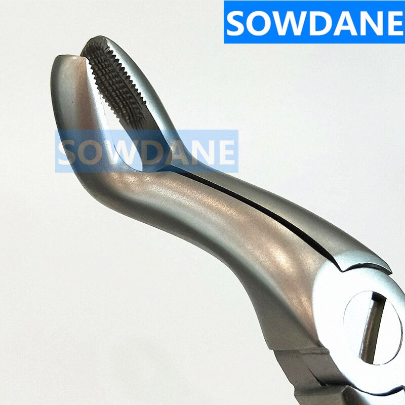 Extraction Forceps For Upper Wisdom Teeth – iDentalShop